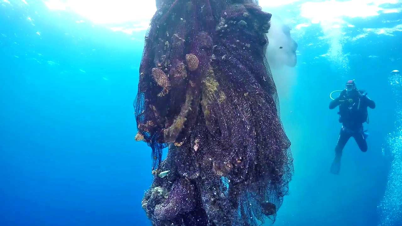 BlueCycle: ένα πρωτοπόρο πρόγραμμα για την ανακύκλωση των θαλάσσιων ...