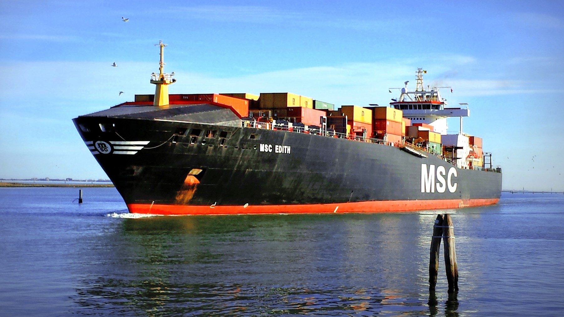 MSC: Το υδρογόνο οδηγεί το μέλλον των ναυτιλιακών καυσίμων - Ναυτικά ...