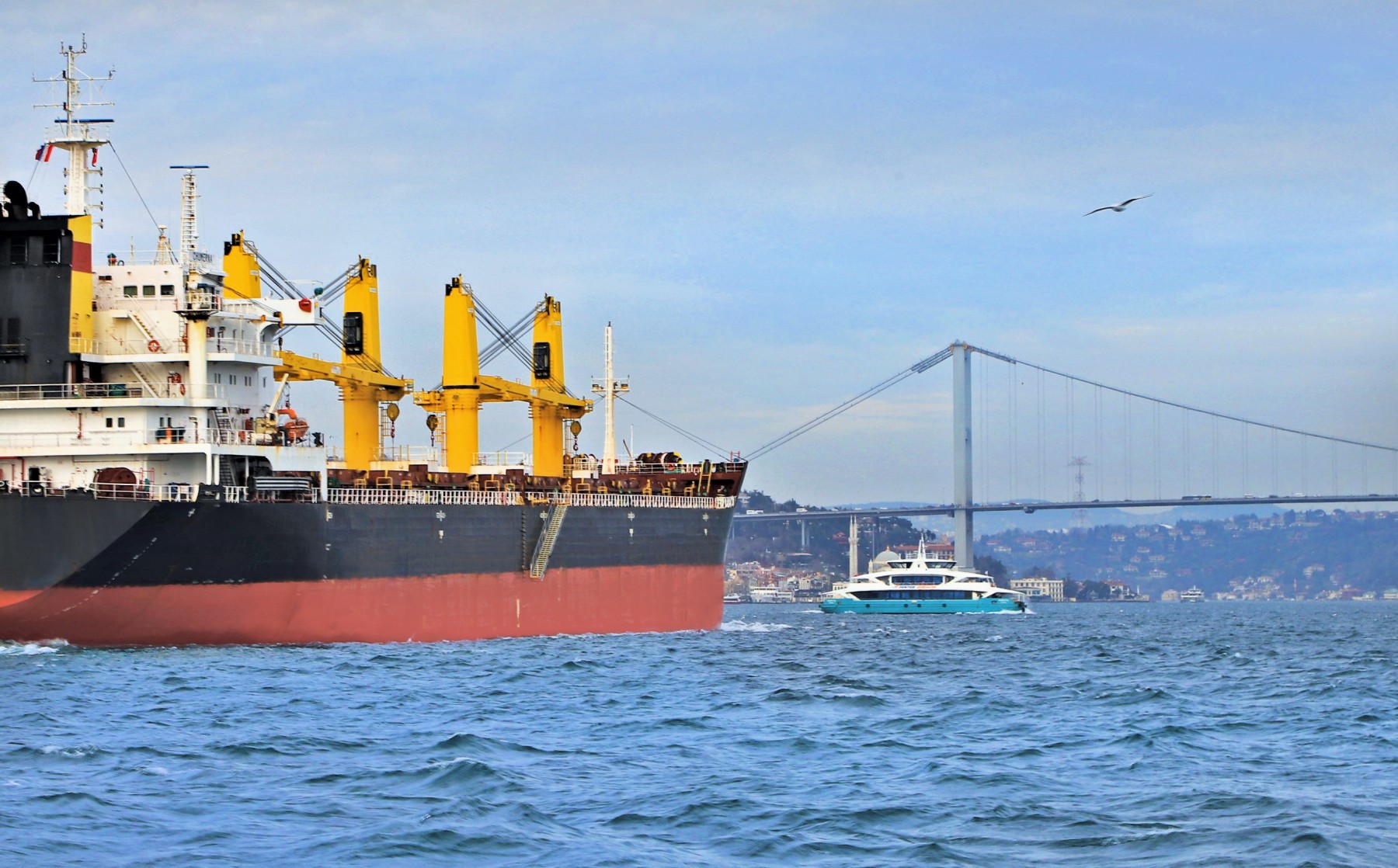 Στο 2,4% η ανάπτυξη του στόλου bulk carriers το 2021 - Ναυτικά Χρονικά